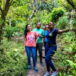Castries St Lucia: Guided Rainforest Hike  Jacquot Trail - The Value of the Jacquot Trail Experience