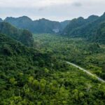 Cat Ba: E-Bike Rental  Easy & Eco Way to Explore the Island - Who Will Love This Activity?