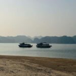 Cat Ba/Ha Noi: Night Kayaking with Glowing Plankton - What’s Included & Practical Considerations