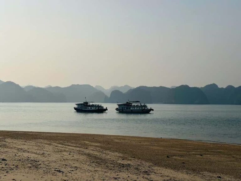 Cat Ba/Ha Noi: Night Kayaking with Glowing Plankton - What’s Included & Practical Considerations