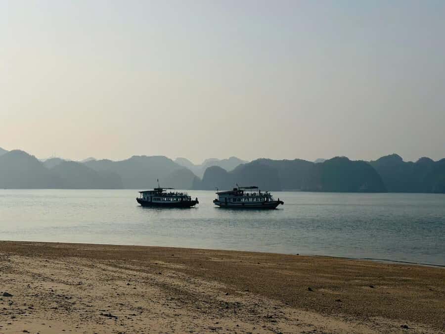 Cat Ba/Ha Noi: Night Kayaking with Glowing Plankton - What’s Included & Practical Considerations