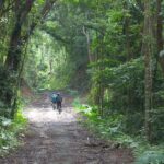 Cat Ba Island: National Park Cycling Tour with Picnic Lunch - The Scenic Route and Key Stops