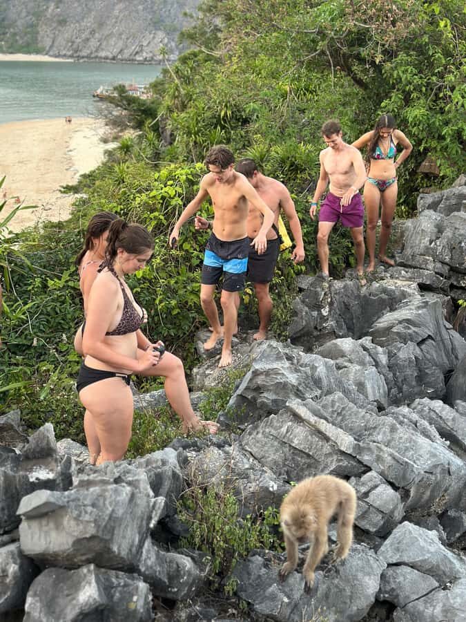 Cat Ba : Lan Ha Bay Boat Tour , Monkey Island and Sunset - Detailed Breakdown of the Itinerary