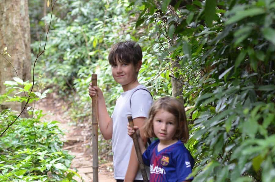 Cat Ba National Park: Secret Jungle Trek & Hidden Caves - The Itinerary in Detail