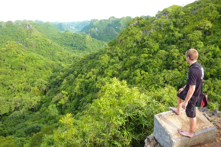 Cat Ba Sunset Jeep Tour: National Park Trek & Hospital Cave - Practical Insights & Value