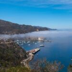 Catalina Island 2-Hour Insider Adventure Tour - Analyzing the Value