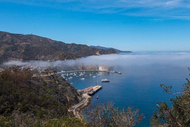 Catalina Island 2-Hour Insider Adventure Tour - Analyzing the Value