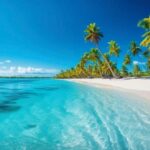 Catalina Island and Snorkeling from Punta Cana - Key Points