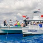 Catalina Island and Snorkeling - Full-day Trip - Real Traveler Feedback and Insights