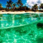 Catalina Island and Snorkeling Tour - Cruise to La Romana: The Multihull Experience