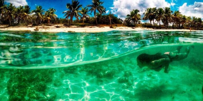 Catalina Island and Snorkeling Tour - Cruise to La Romana: The Multihull Experience