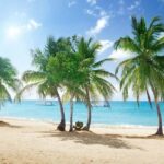 Catalina Island Catamaran Cruise with Lunch from Bayahibe - The Voyage to "The Wall"