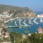 Catalina Island City & Scenic Mt. Ada Tour - Pricing and Value