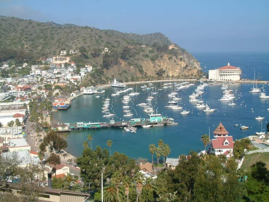 Catalina Island City & Scenic Mt. Ada Tour - Pricing and Value