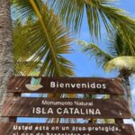 Catalina Island: Cruise, Snorkelling, Open Buffet & Drinks - Catalina Island: The Jewel of the Tour