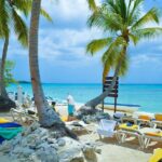 Catalina Island DayTrip + Great Snorkeling - What You’ll Experience: A Step-by-Step Breakdown