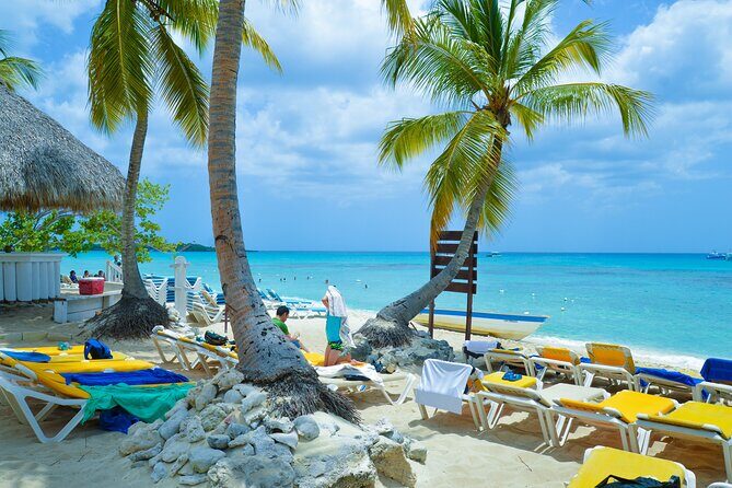 Catalina Island DayTrip + Great Snorkeling - What You’ll Experience: A Step-by-Step Breakdown