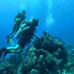 Catalina Island Diving Tour - Why Travelers Love This Tour