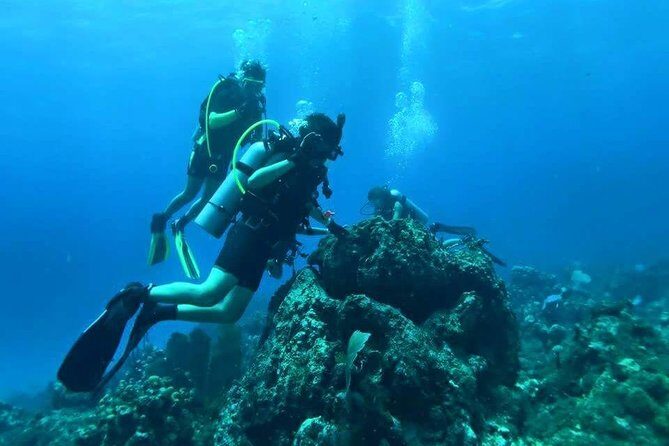 Catalina Island Diving Tour - Why Travelers Love This Tour