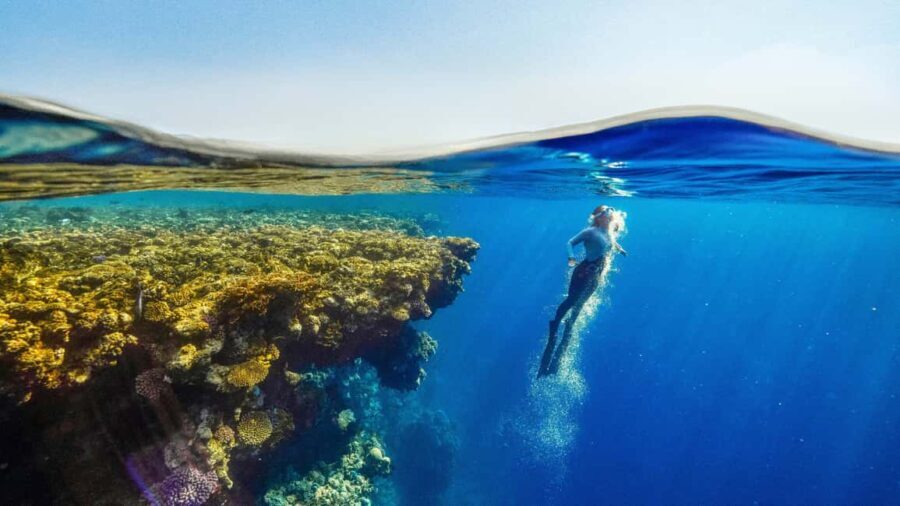 Catalina Island, even more pristine than Saona - The Itinerary: Breaking Down the Day