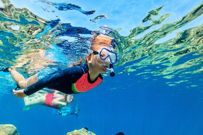 Catalina Island even more unspoilt than Saona Island - The Experience from a Traveler’s Perspective