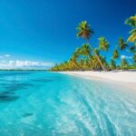 Catalina Island From Punta Cana - Transport, Group Size, and Price
