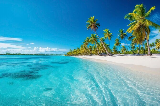 Catalina Island From Punta Cana - Transport, Group Size, and Price