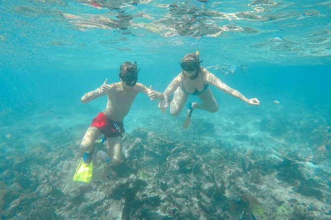 Catalina Island - Full Day All Inclusive Experience - Final Thoughts: Is It Worth It?