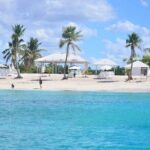 Catalina Island Full Day Snorkeling Tour - What Travelers Say: Authentic Insights