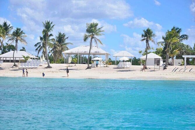 Catalina Island Full Day Snorkeling Tour - What Travelers Say: Authentic Insights