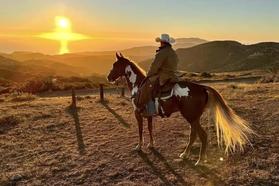 Catalina Island: Horse Trail Overlook Ride - Why This Tour Offers Great Value