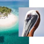 Catalina Island snorkeling Dominican Republic - Logistics and Practicalities