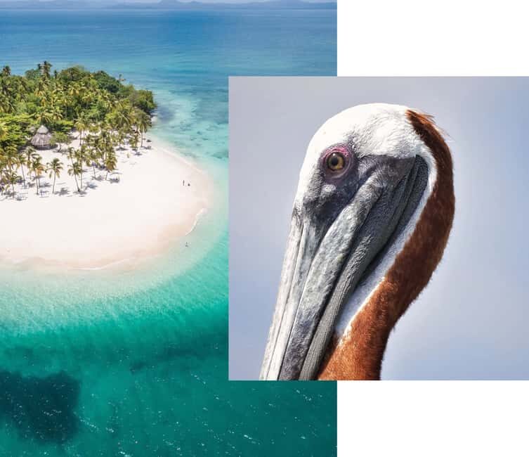 Catalina Island snorkeling Dominican Republic - Logistics and Practicalities