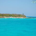 Catalina Island & Snorkeling Tour - Price and Value