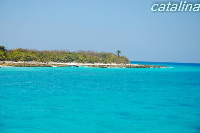 Catalina Island & Snorkeling Tour - Price and Value