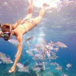 Catalina Island & Snorkling Tour Full Day All Inclusive - What the Tour Includes and What to Watch Out For