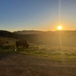 Catalina Island: Sunset Summit Tour - The Guide and Commentary