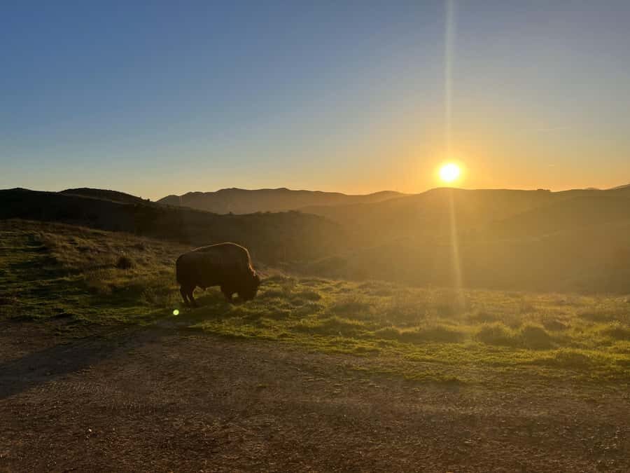 Catalina Island: Sunset Summit Tour - The Guide and Commentary