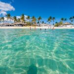 Catalina Island Tour - Authentic Experiences and Customer Feedback