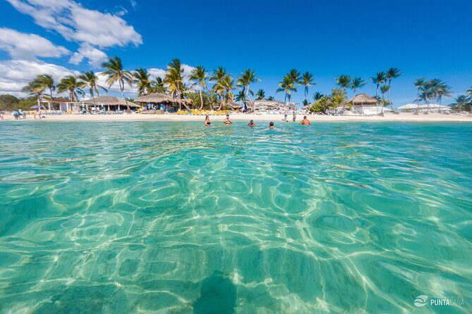 Catalina Island Tour - Authentic Experiences and Customer Feedback