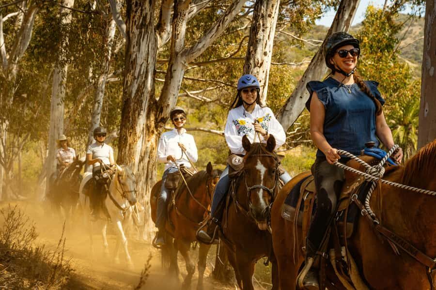 Catalina Island: Trail and Canyon Horseback Ride - The Experience: What Makes It Special