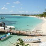 Catalina Island with Snorkeling and Lunch and Transportation Included - What’s Included and What to Keep in Mind