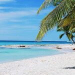 Catalina Island with Snorkeling from Punta Cana - Evaluating Value: Is This Tour Worth Your Money?