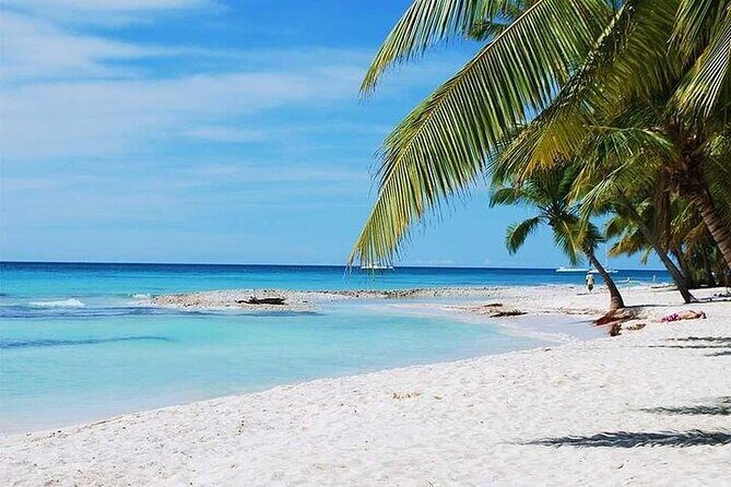 Catalina Island with Snorkeling from Punta Cana - Evaluating Value: Is This Tour Worth Your Money?