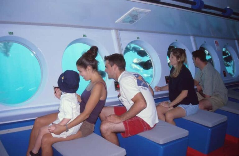 Catalina Island: Yellow Semi-Submarine Cruise - Why This Tour Works Well