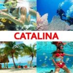 Catalina Island+Snorkeling - Who Should Consider This Tour?