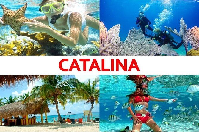 Catalina Island+Snorkeling - Who Should Consider This Tour?