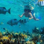 Catamaran along the Riviera Maya Snorkel food and open bar - What’s Included and What to Expect