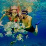 Catamaran Catalina Island Day Trip with Lunch - Who Would Enjoy This Tour?