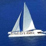 Catamaran Cruise on Saona Island with Lunch and Drinks - What To Expect at Each Stop